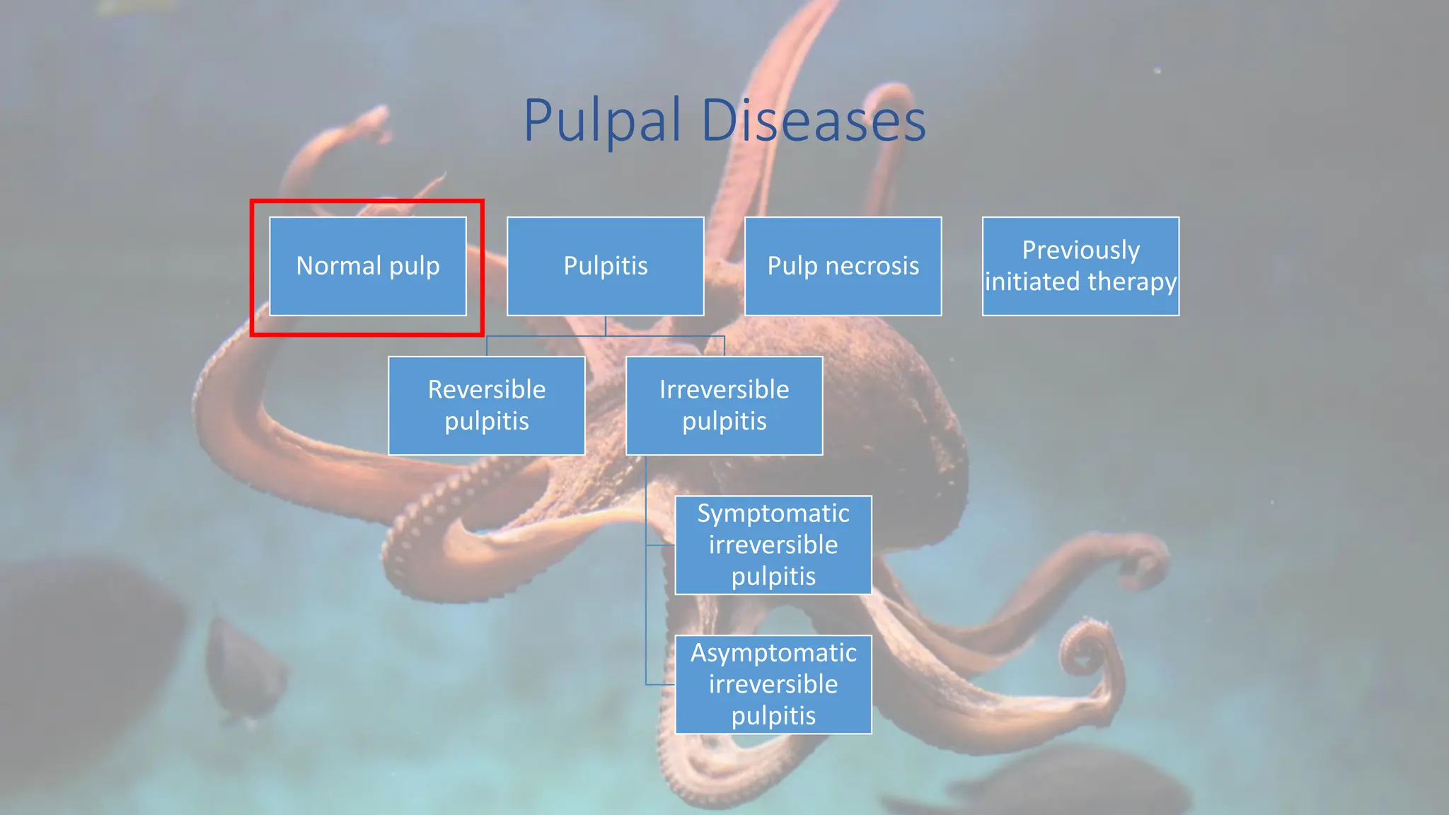 2. pulpitis, DENTAL PULP, PULP CHARACTHERISTICS | PDF