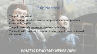 2. pulpitis, DENTAL PULP, PULP CHARACTHERISTICS | PDF