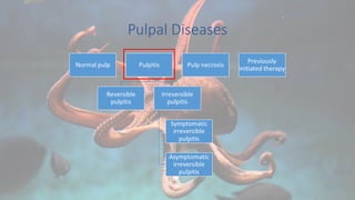 2. pulpitis, DENTAL PULP, PULP CHARACTHERISTICS | PDF