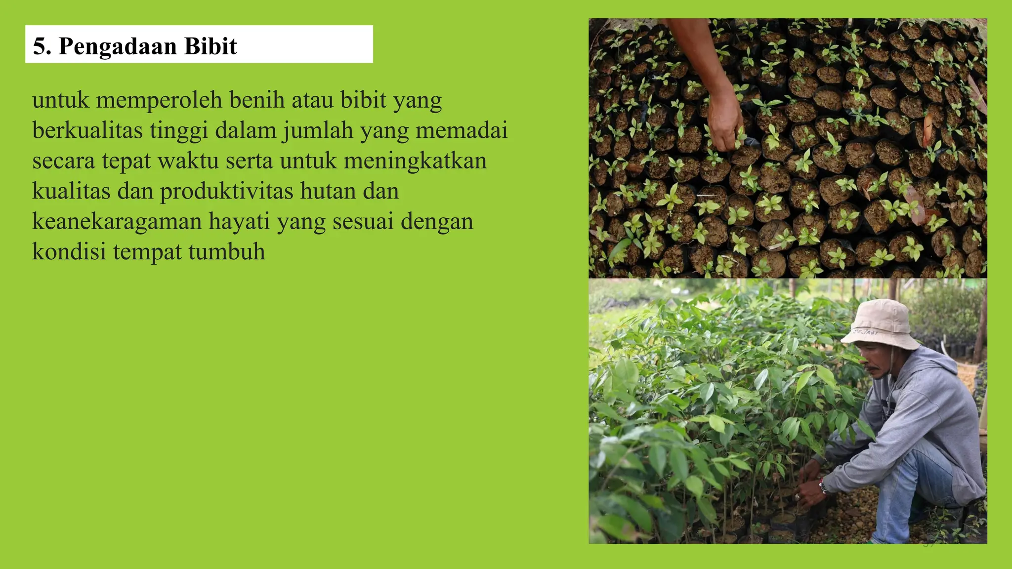 2. konsep restorasi ekosistem pak rizaldi.pptx