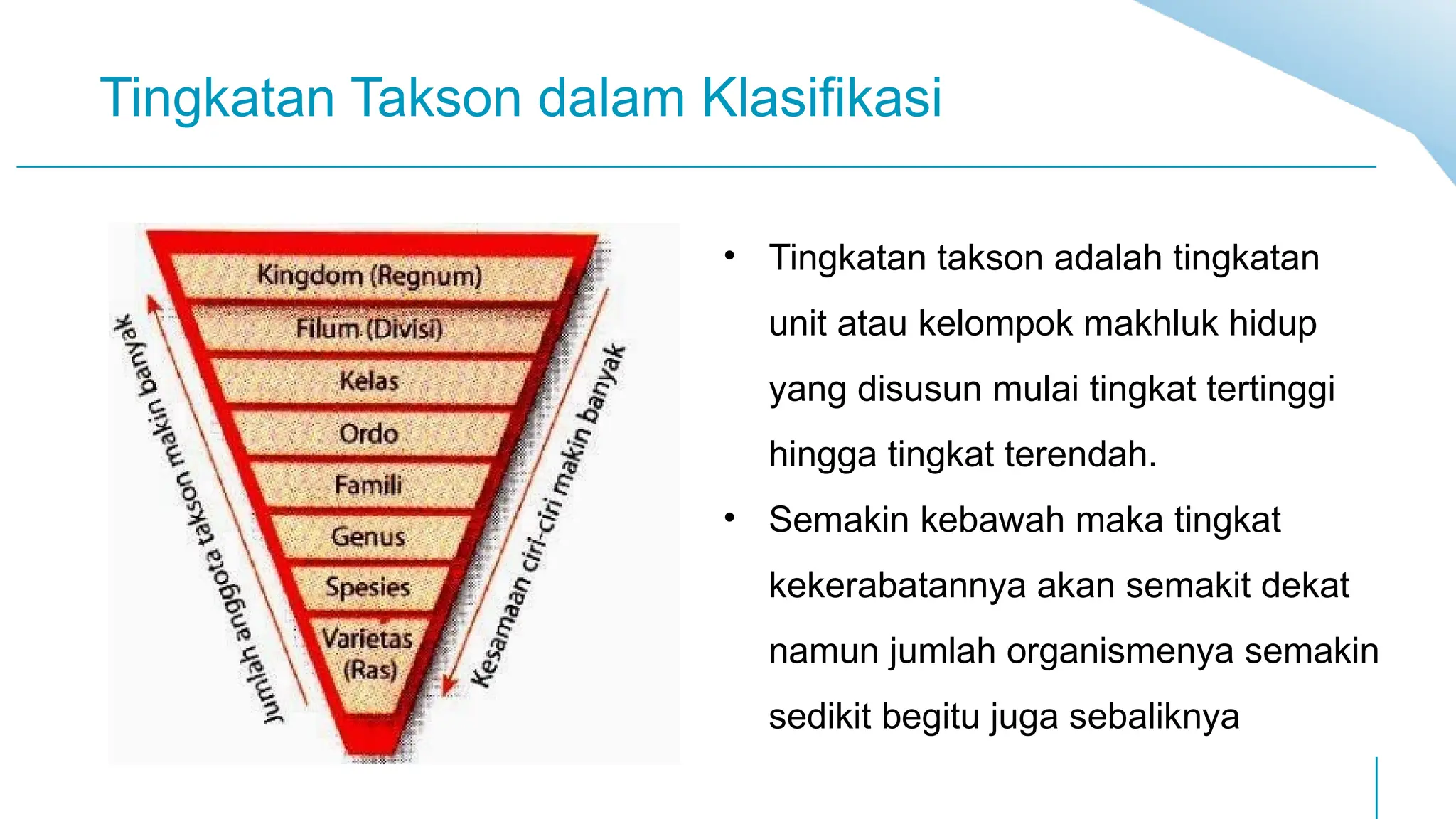 Klasifikasi makhluk hidup materi biologi kelas 10 | PPTX
