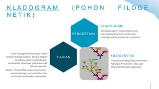 Klasifikasi makhluk hidup materi biologi kelas 10 | PPTX