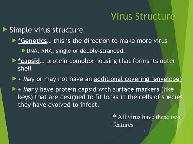 2. Viruses34555543254333543445544354.ppt