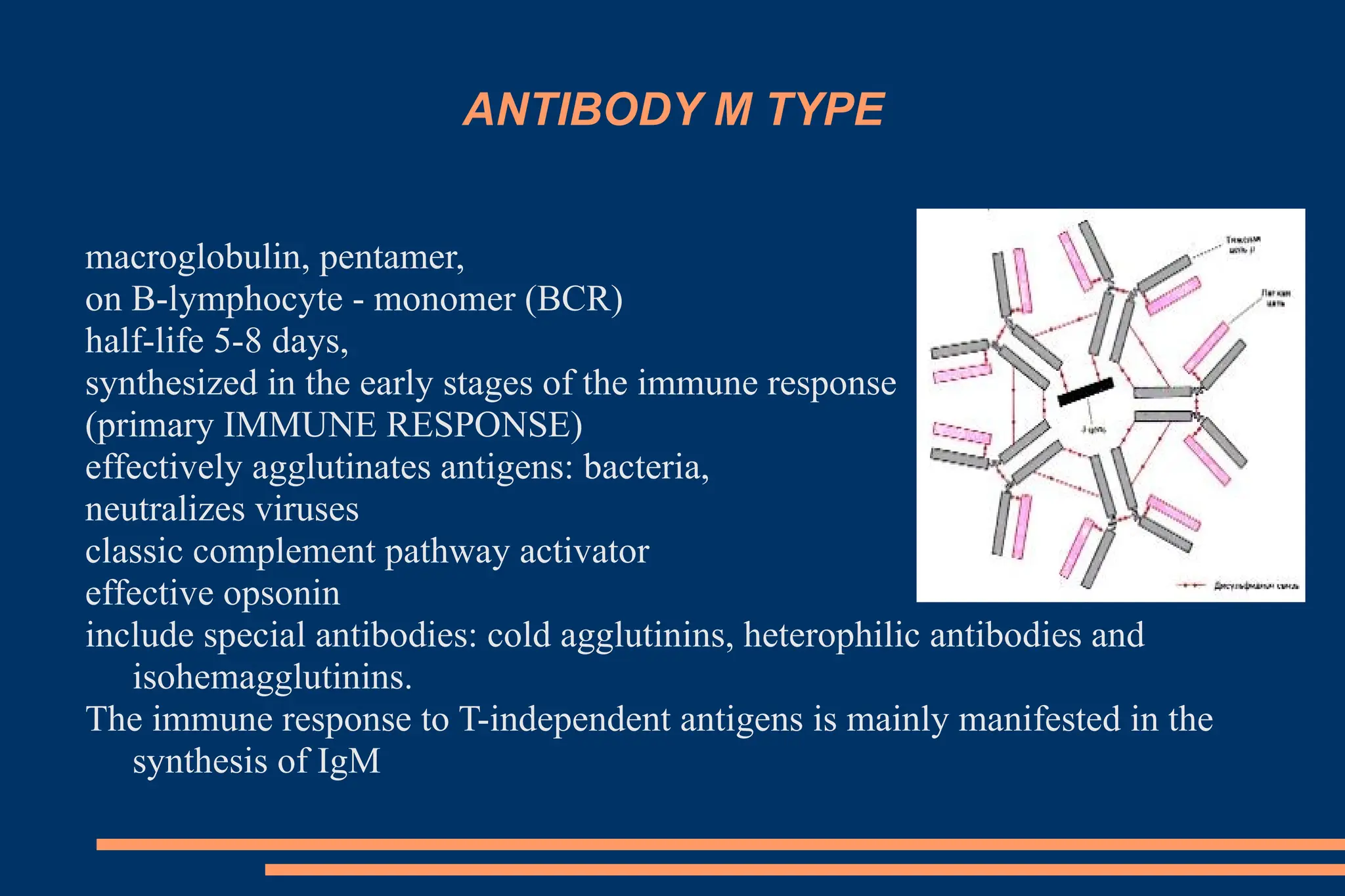 Antigens and antibody of human body part.ppt