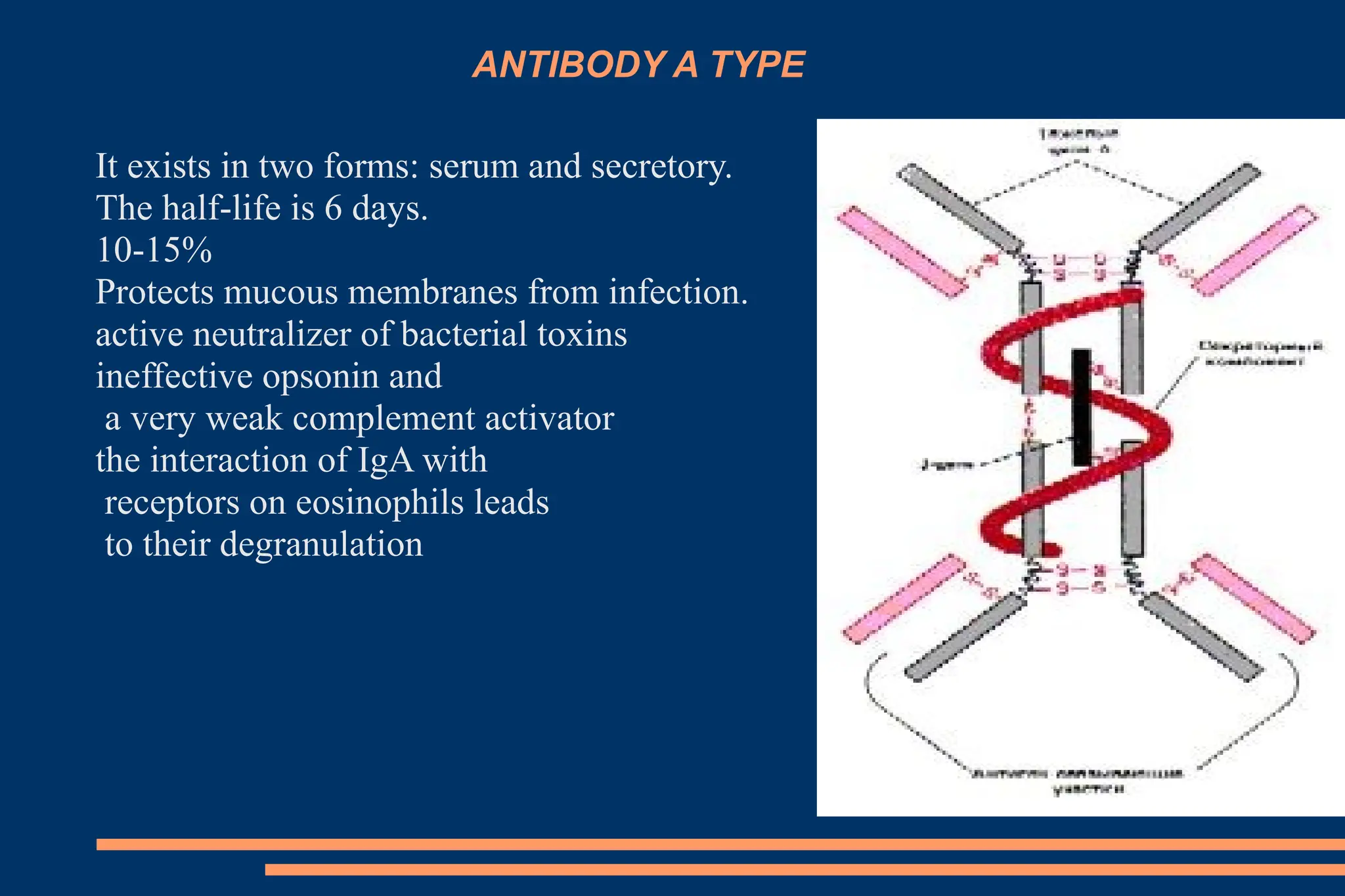 Antigens and antibody of human body part.ppt