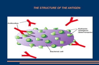 Antigens and antibody of human body part.ppt