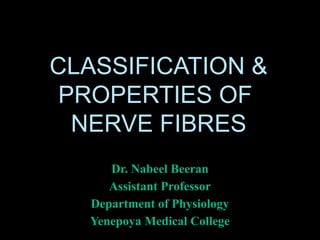 2. Classification a Properties of Nerve Fibres.pptx