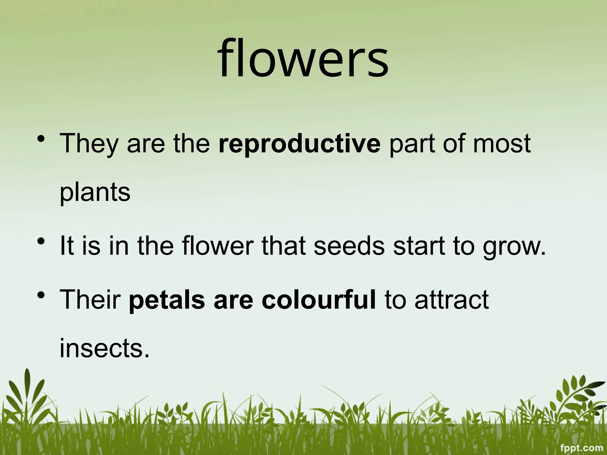 Topic: Parts of a plant for the 4th grades | PPTX