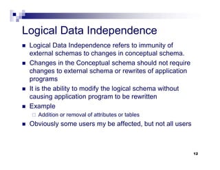 Comprehensive Guide to Effective Data Model Principles | PPT