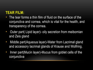 Structure of external eye , eyelid, lacrimal apparatus | PPTX
