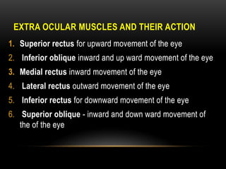Structure of external eye , eyelid, lacrimal apparatus | PPTX