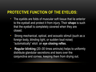 Structure of external eye , eyelid, lacrimal apparatus | PPTX