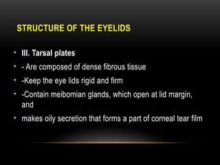 Structure of external eye , eyelid, lacrimal apparatus | PPTX