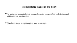 Lecture 2 homeostasis and basic concepts | PPTX