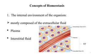 Lecture 2 homeostasis and basic concepts | PPTX