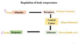 Lecture 2 homeostasis and basic concepts | PPTX