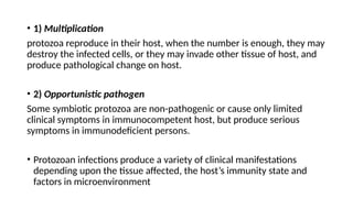 Presentation Classification of Protozoa 2023.pptx
