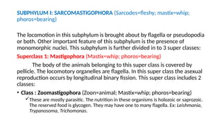 Presentation Classification of Protozoa 2023.pptx