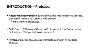 Presentation Classification of Protozoa 2023.pptx
