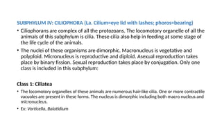 Presentation Classification of Protozoa 2023.pptx