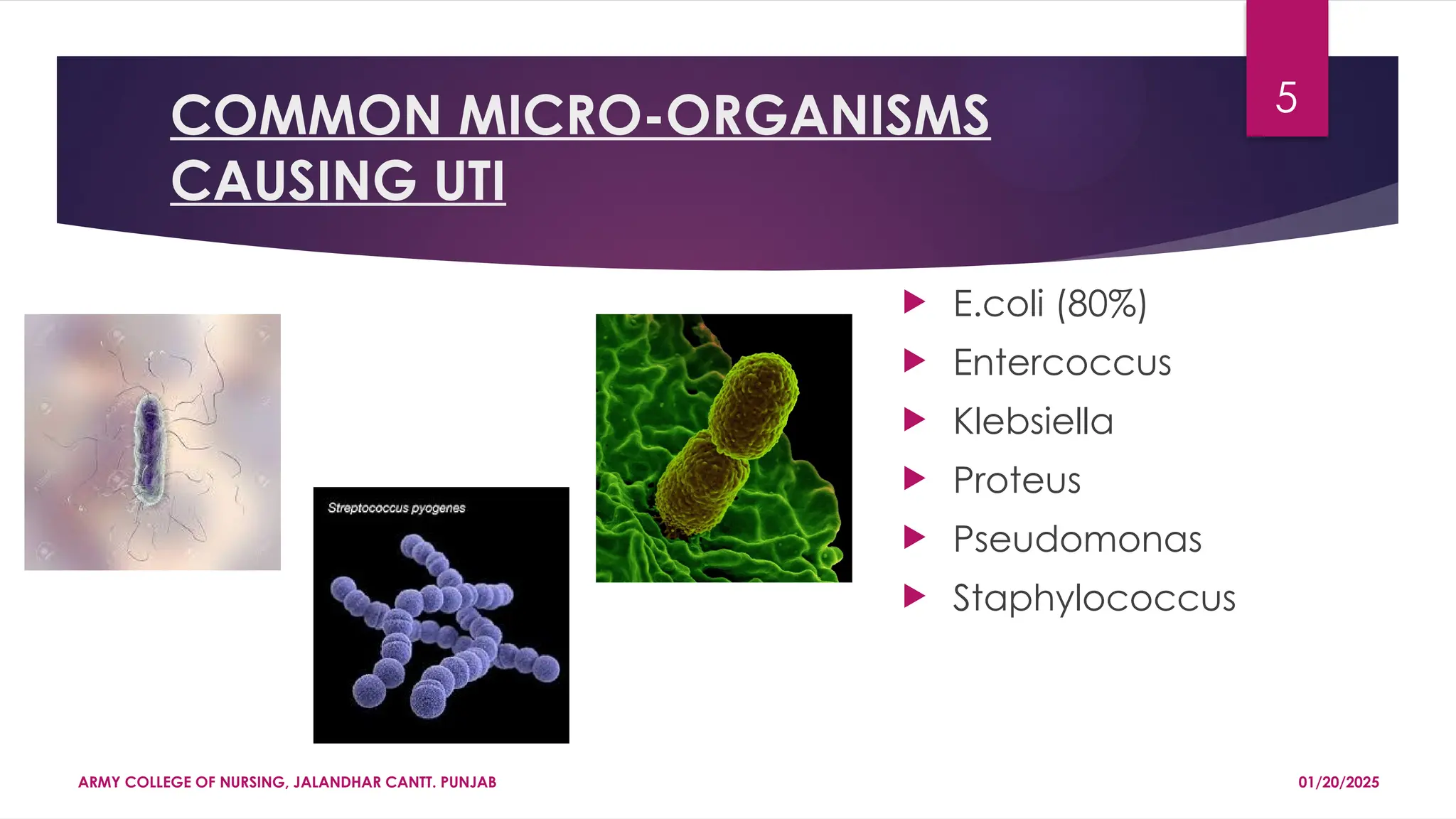 2. PREVENTION OF UTI and nursing management .pptx