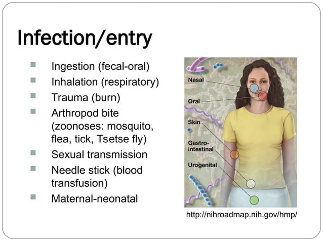 2. PATHOGENESIS OF BACTERIAL INFECTION.ppt