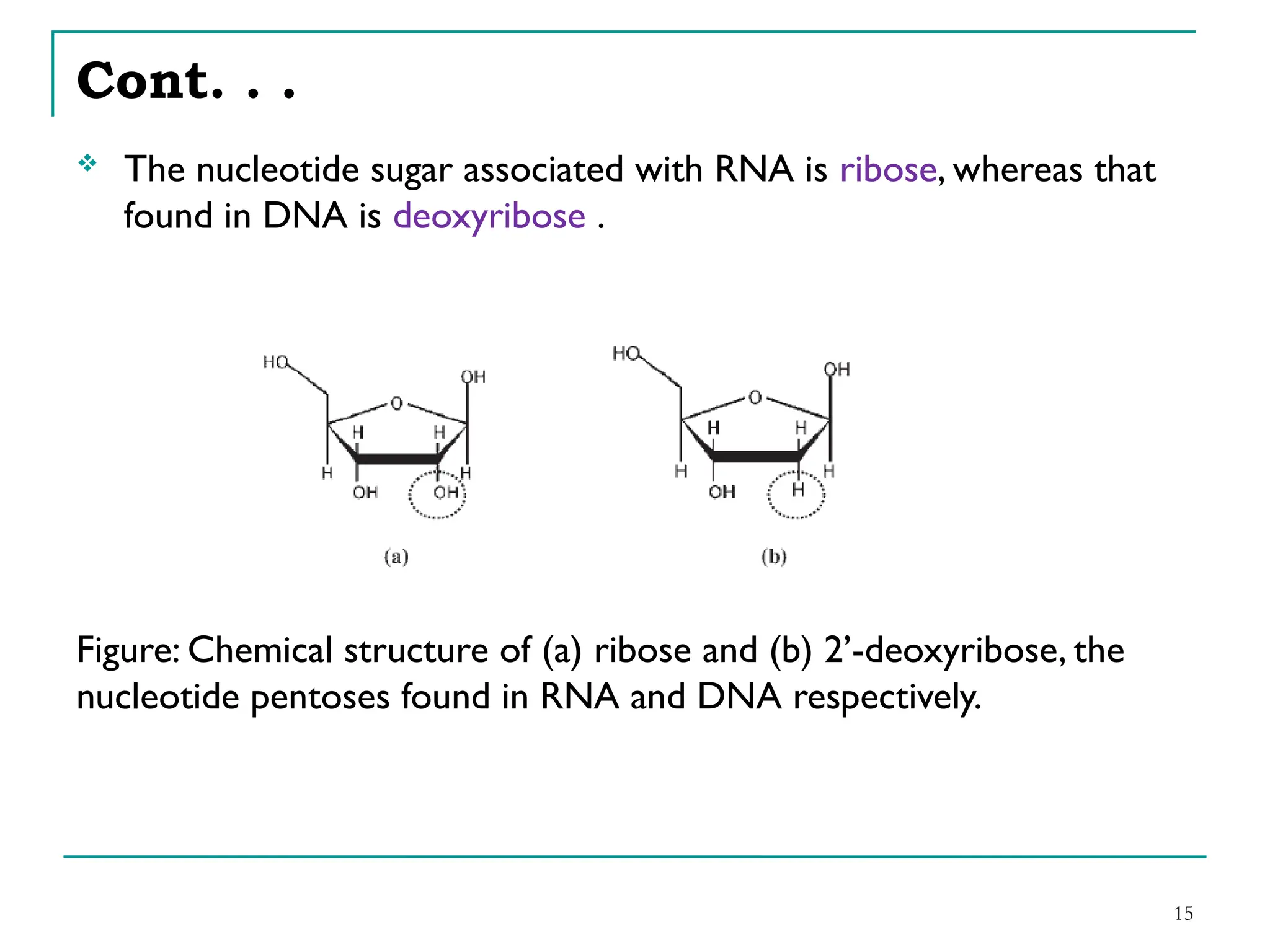 2.Introduction to genetic engineering rDNA technology.pptx