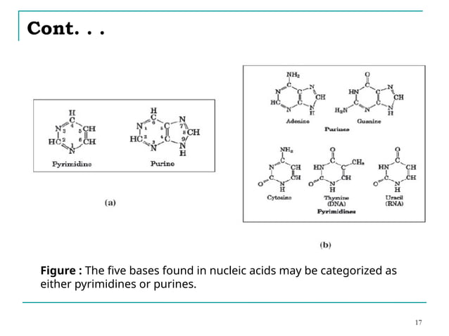 2.Introduction to genetic engineering rDNA technology.pptx