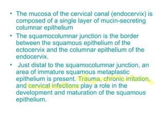 2. Disease of the Cervix & Uterus complete | PPT
