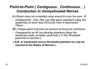 2.Signal transduction in a cell+Nerve_Lecture2007.ppt