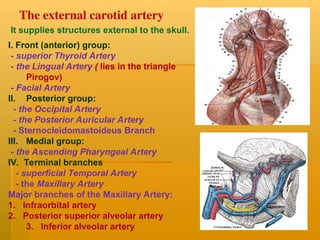 2.3 Blood supply of head & Neck & MUA.ppt
