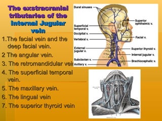 2.3 Blood supply of head & Neck & MUA.ppt