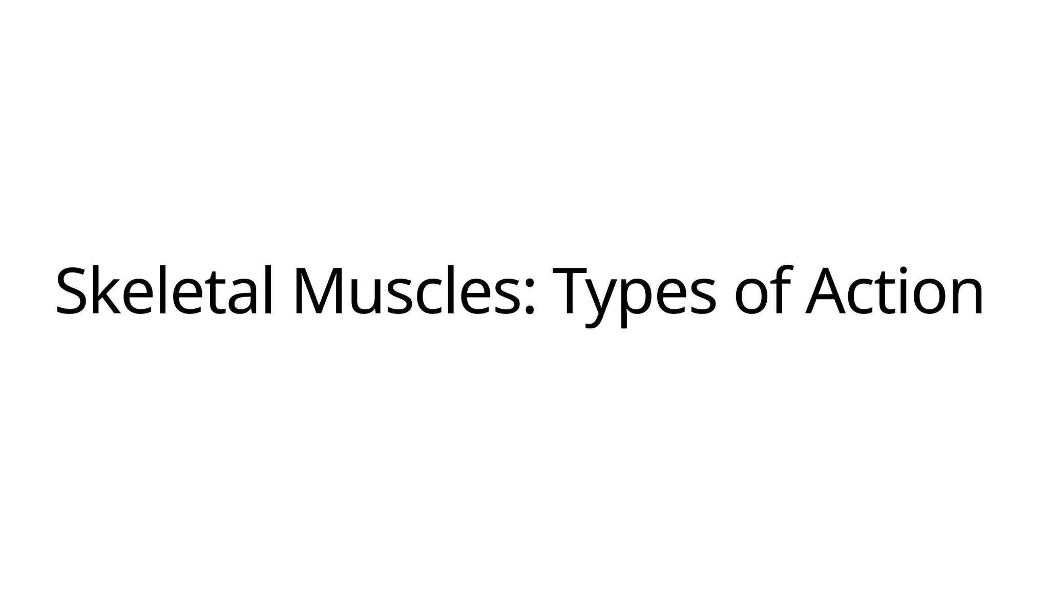 2. Muscles.pptx by teacher mursal rahimi | PPTX