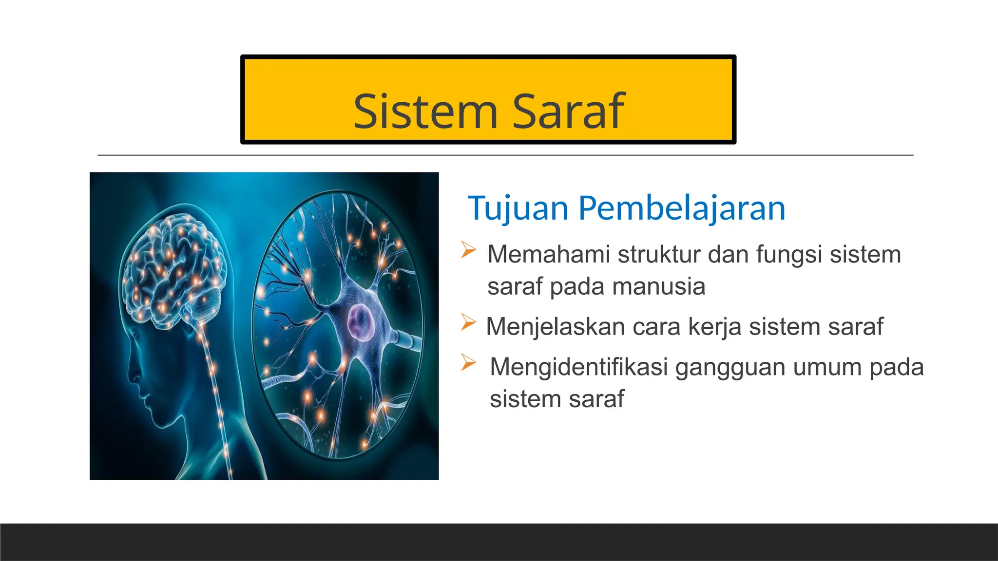 Sistem saraf manusia kelas 9 Kurikulum merdeka.pptx
