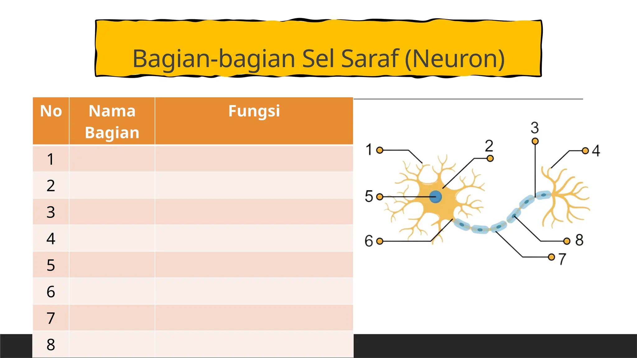 Sistem saraf manusia kelas 9 Kurikulum merdeka.pptx