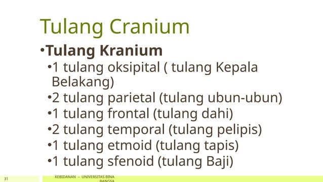 2. Anatomi Fisiologi Muskuloskeletal.pptx