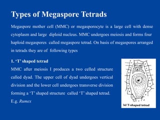 2.megasporangium and female gametophyte.pptx