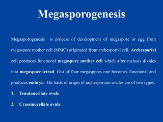 2.megasporangium and female gametophyte.pptx