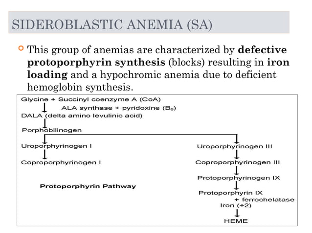 2. Disorder of RBC (Anemia and polycythemia).pptx