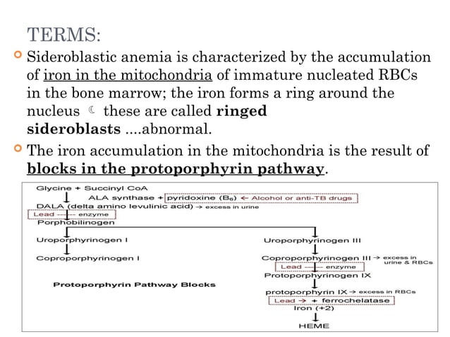 2. Disorder of RBC (Anemia and polycythemia).pptx