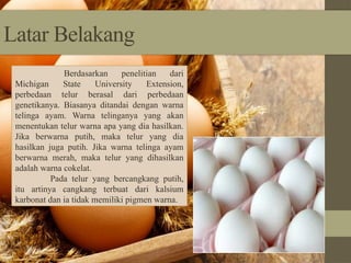 2. Rahma Formulasi Ransum Ayam Broiler masa pertumbuhan | PPT