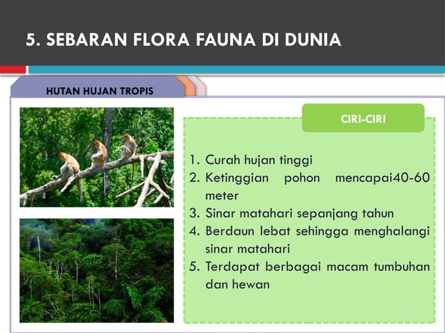 Rencana Pelakasanaan Pembelajaran Flora dan fauna.pptx