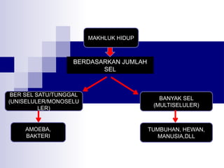 Struktur dan Fungsi Sel pada Makhluk Hidup | PPTX