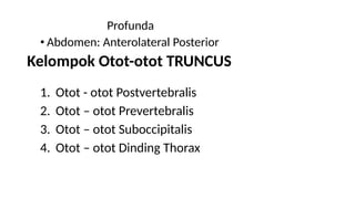 Myologi Otot Truncus manusia kedokteran umum | DOCX