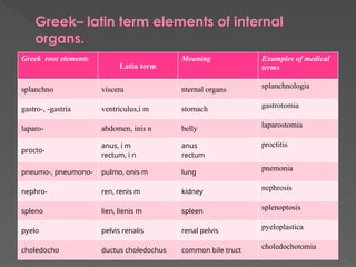 word building, notion about TE, their place in the structure of word ...
