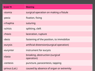 word building, notion about TE, their place in the structure of word ...