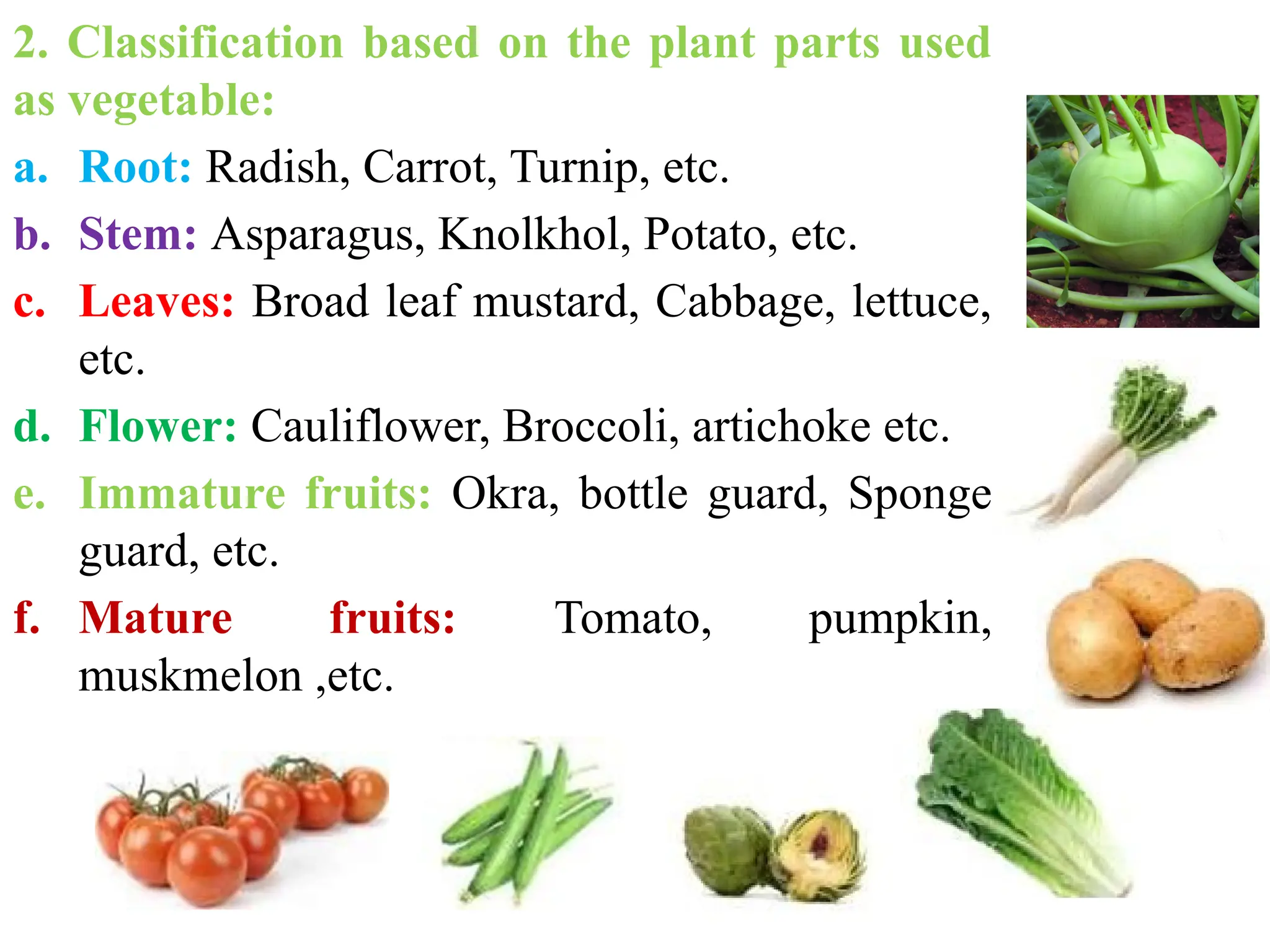 2. Classification of vegetable and spice crops.pptx