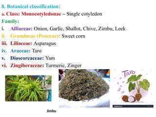 2. Classification of vegetable and spice crops.pptx