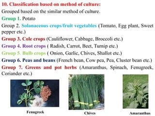 2. Classification of vegetable and spice crops.pptx