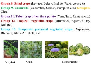 2. Classification of vegetable and spice crops.pptx